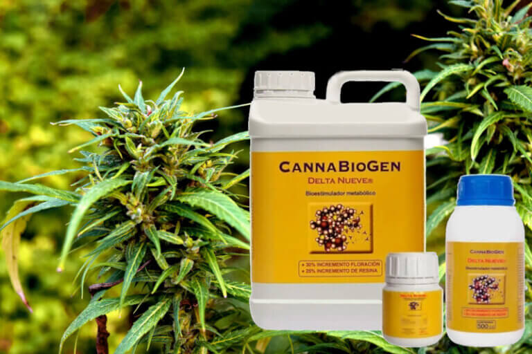 Cómo usar el fertilizante Delta 9: Uso y aplicación - 420 GrowShop Cómo usar el fertilizante Delta 9: Uso y aplicación - 420 GrowShop