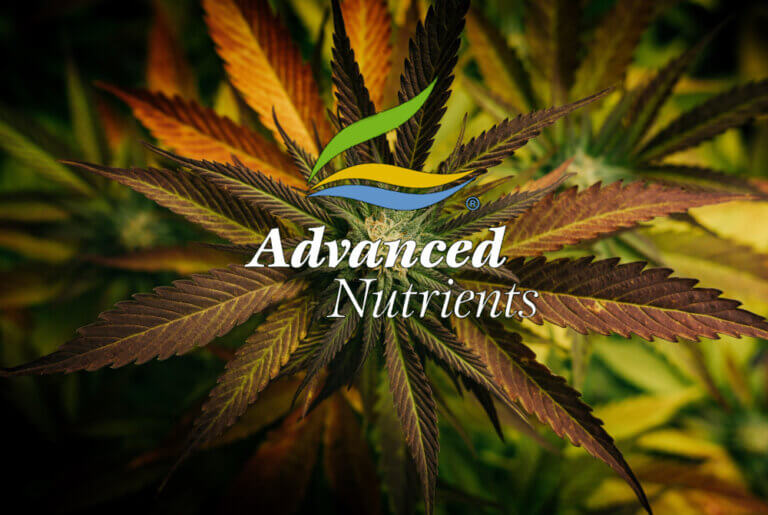 Tabla advanced nutrients: Cómo se usa en cultivos - 420GrowShop